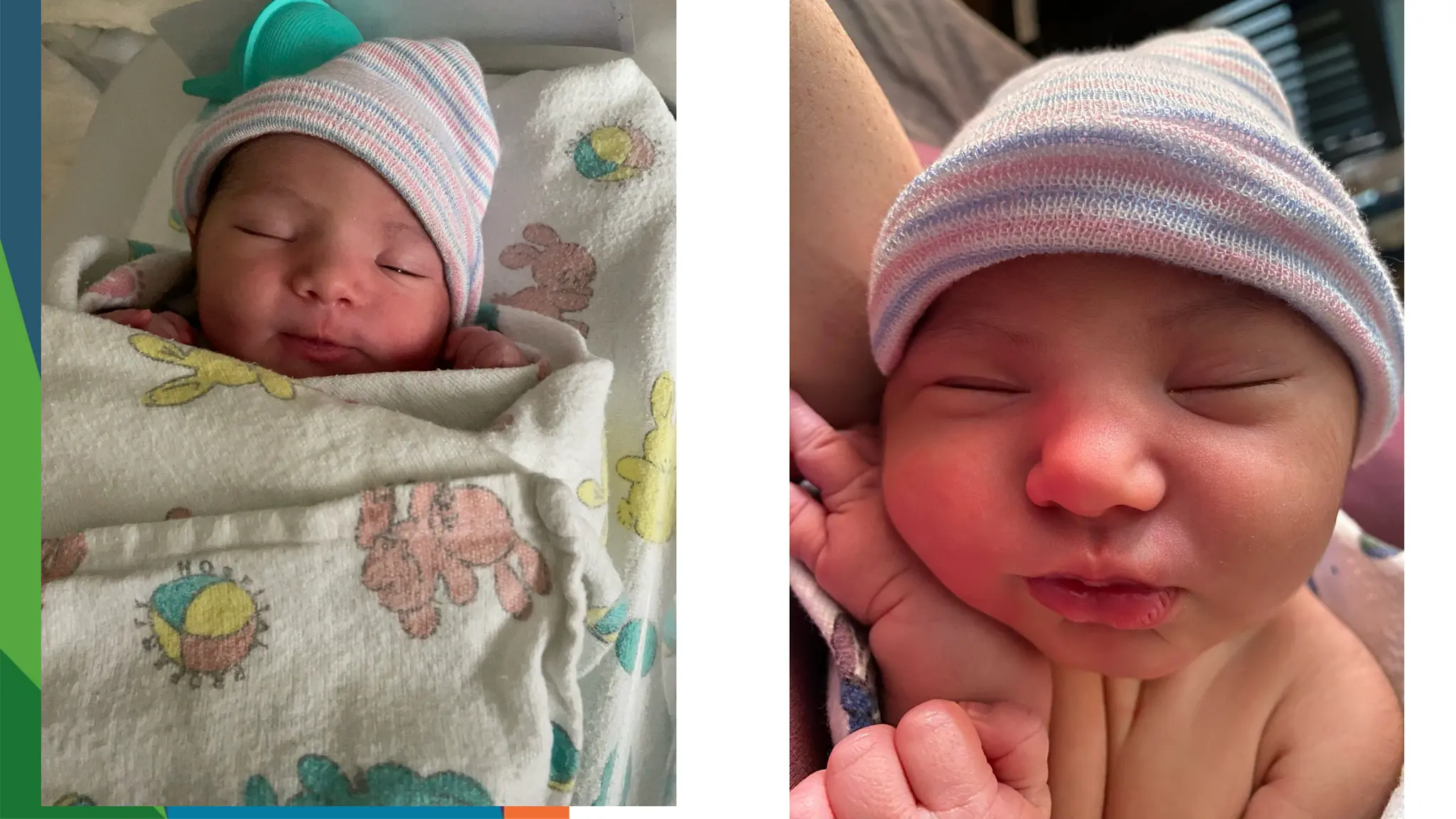 LGBTQ presentation and pride month for seniors | PPTX