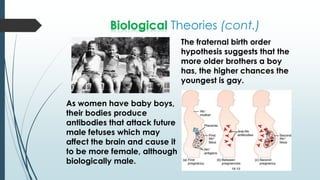Lgbtq (sexual orientation) | PPTX