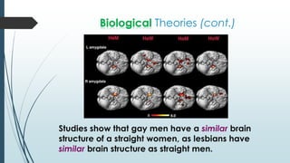 Lgbtq (sexual orientation) | PPTX