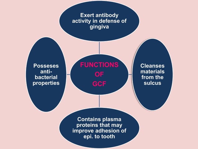Gingival crevicular fluid | PPTX | Oral care | Personal Care