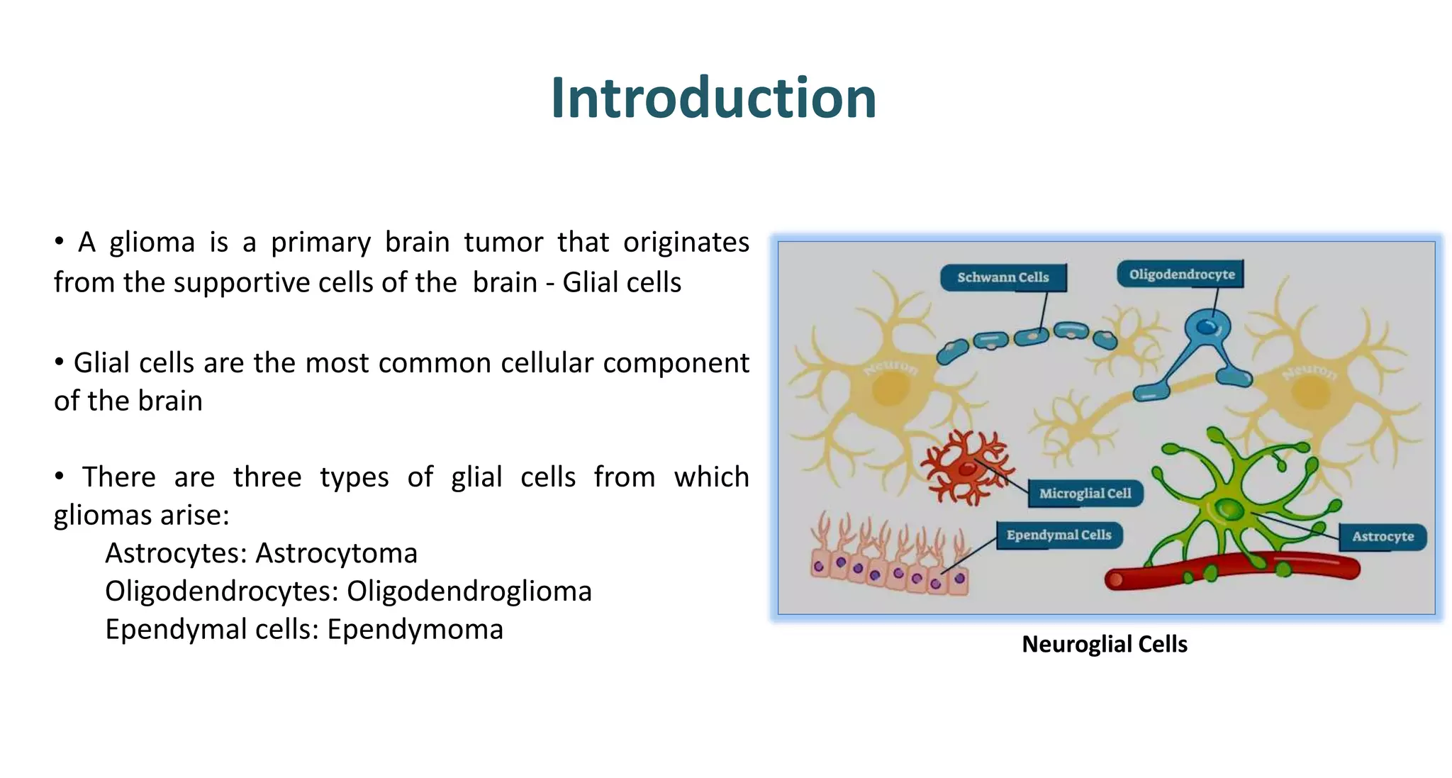 Management of Low Grade Glioma | PPTX
