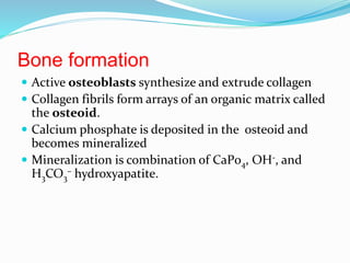Lgis bones mineral homeostasis | PPTX
