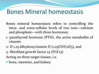 Lgis bones mineral homeostasis | PPT