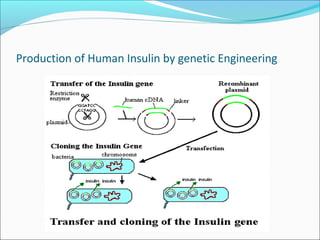Lgis insulin | PPT