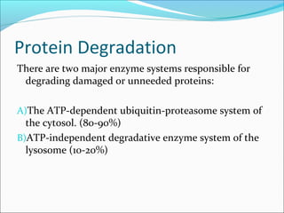Lgis protein degradation | PPT