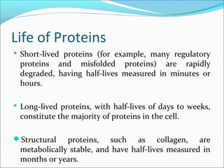 Lgis protein degradation | PPT