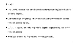 Lobula Giant Movement Detector Based Embedded Vision System for Micro ...