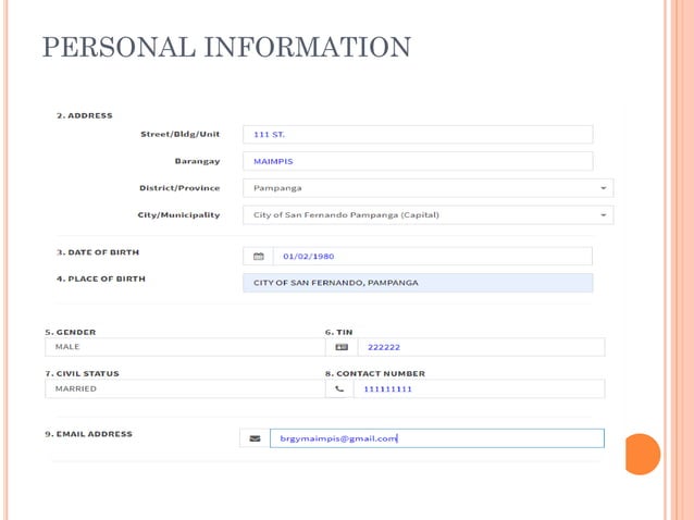LOCAL GOVERNMENT UNIT BARANGAY WITH NEW APPLICATION.pptx | Business ...