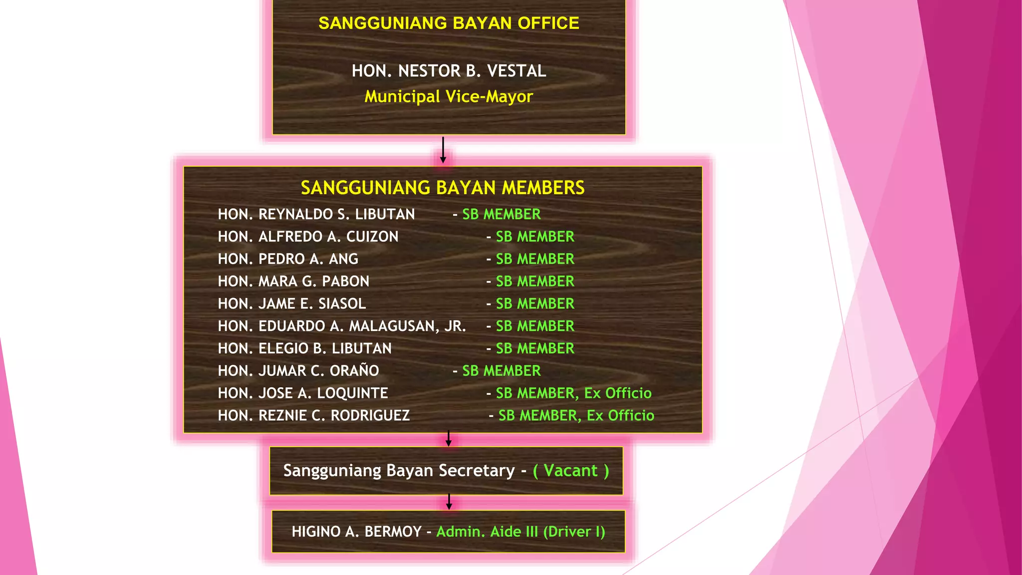 LGU ORGANIZATIONAL CHART-NEW.pptx