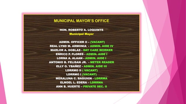 LGU ORGANIZATIONAL CHART-NEW.pptx | Developmental Sites | Real Estate