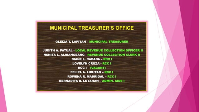 LGU ORGANIZATIONAL CHART-NEW.pptx | Developmental Sites | Real Estate