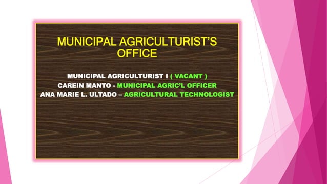 LGU ORGANIZATIONAL CHART-NEW.pptx | Developmental Sites | Real Estate