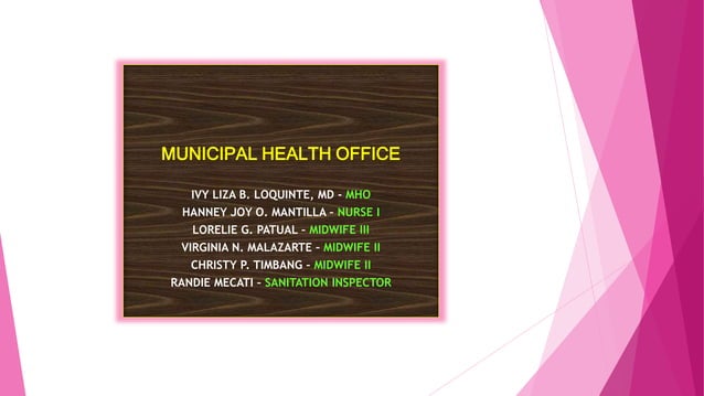 LGU ORGANIZATIONAL CHART-NEW.pptx | Developmental Sites | Real Estate