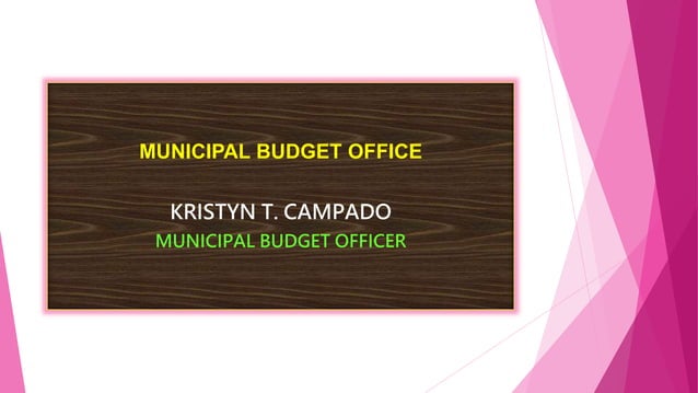 LGU ORGANIZATIONAL CHART-NEW.pptx | Developmental Sites | Real Estate