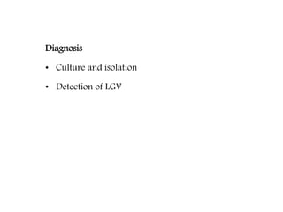 Lgv (Lymphogranuloma Venereum) | PPTX
