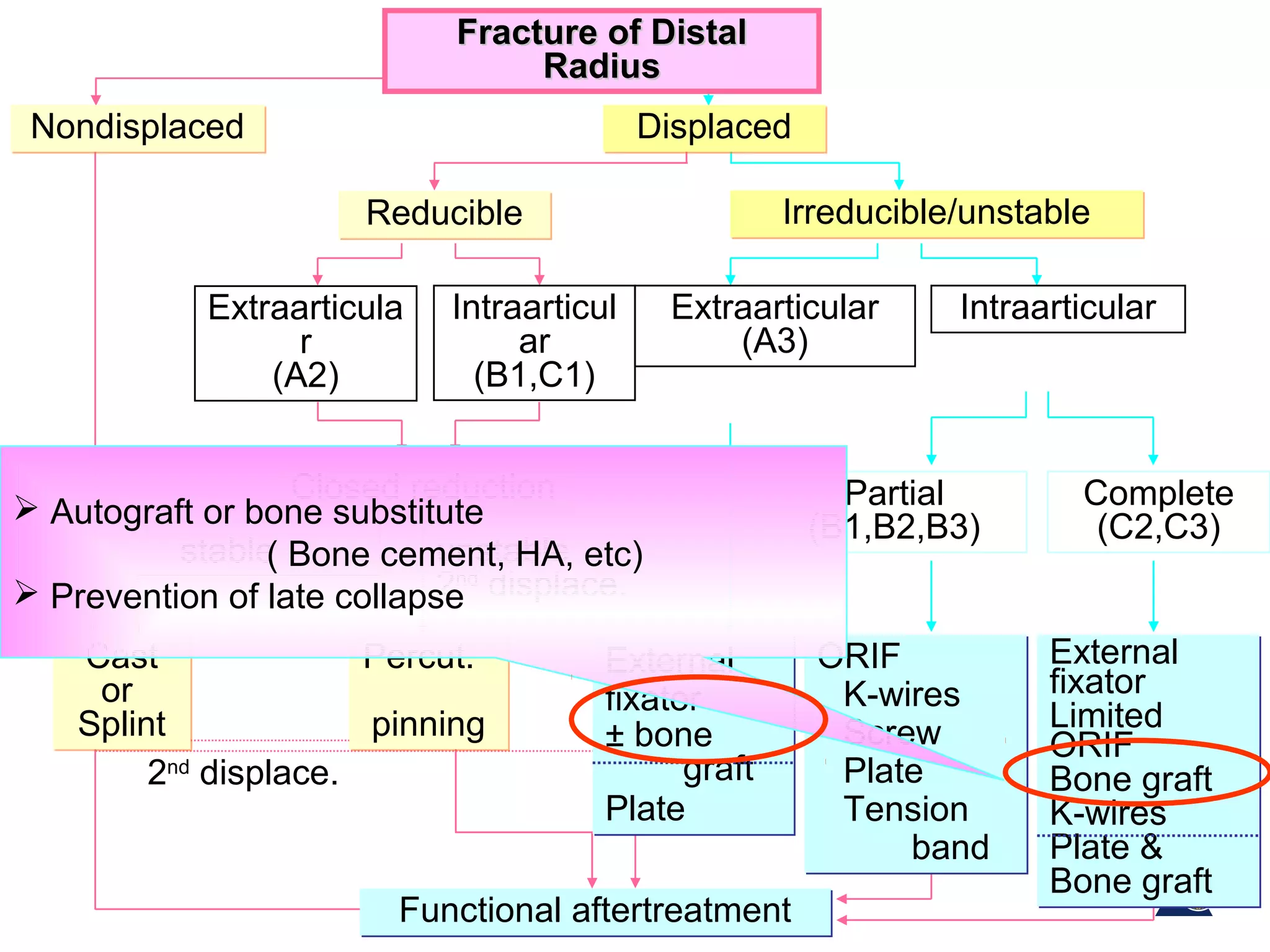 Distal radius | PPT