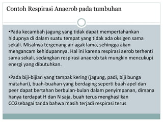 6._Respirasi_Anaerob_(Kelompok_9)00.pptx