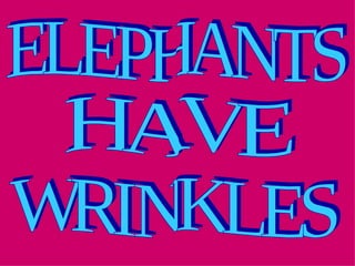 Lh2 a elephants have wrinkles | PPT