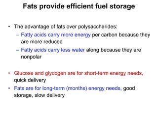 Lehninger_Chapter 17_Fatty acid Oxid.ppt
