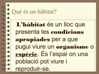 L’habitat | PPT
