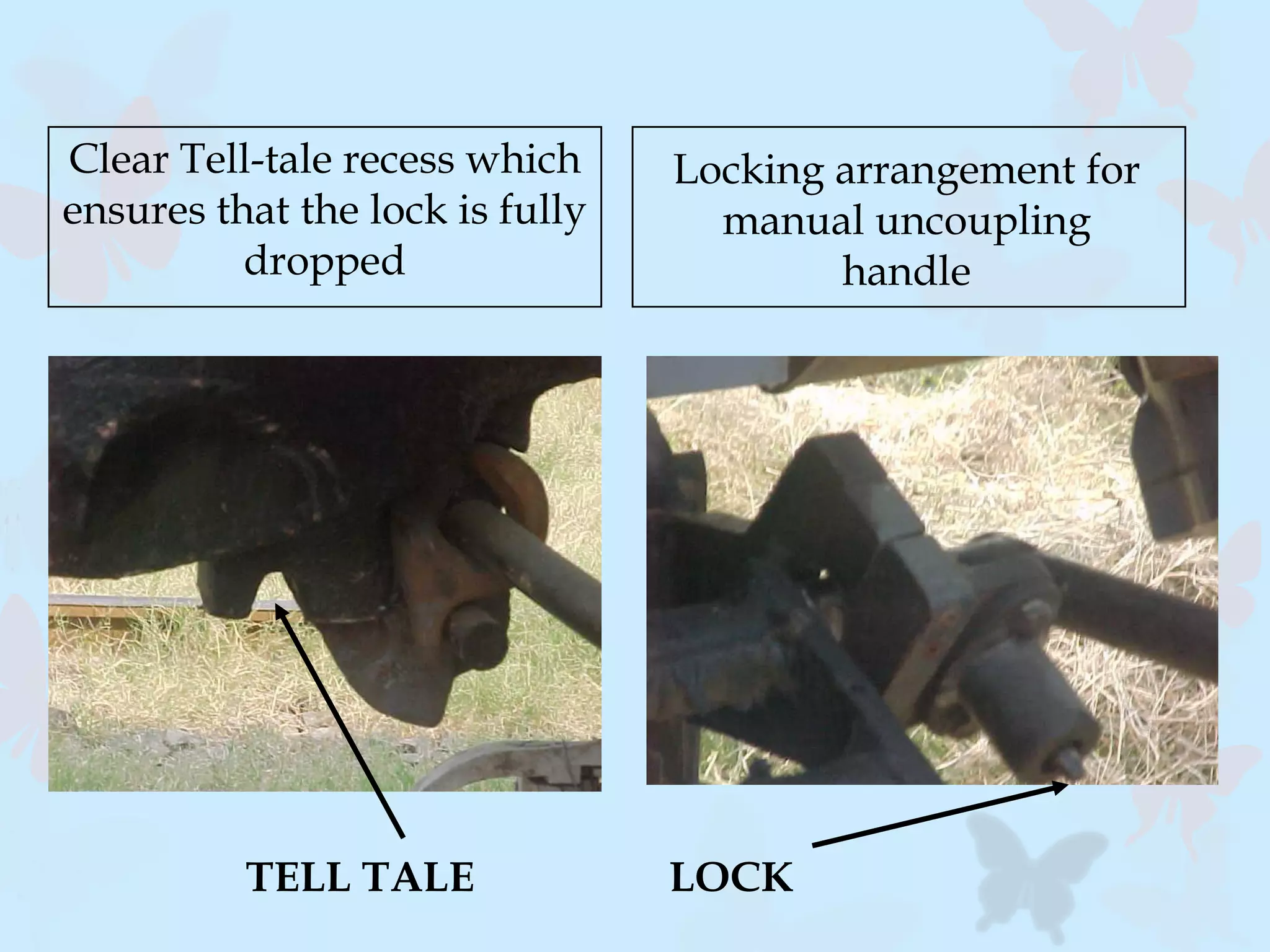 L.H.B. Coaches | PDF