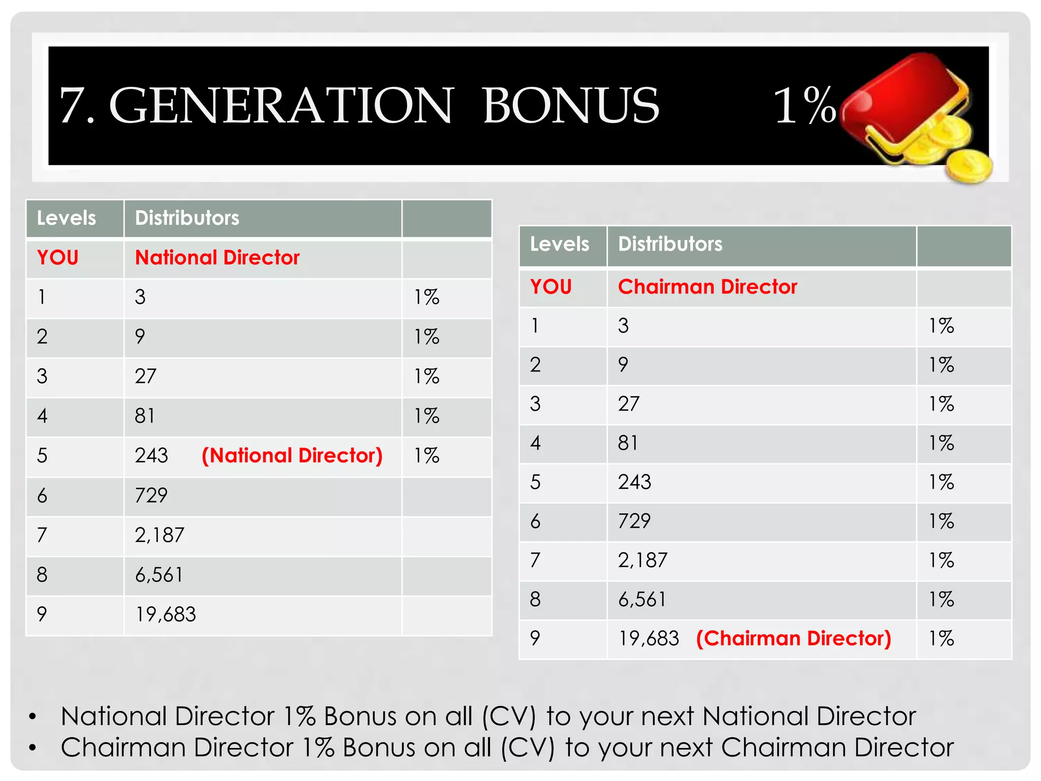 Luxury Hair Direct Compensation Plan | PPTX