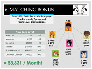 Luxury Hair Direct Compensation Plan | PPTX