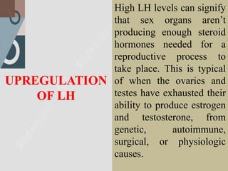 LH hormone.pdf