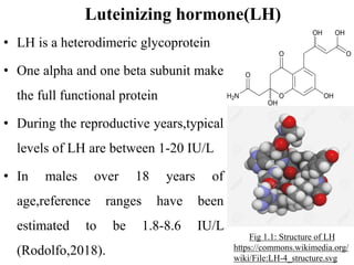 LH hormone.pdf