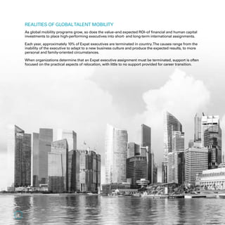 Expats and C-suite Career Transition Experience - Executives digital ...