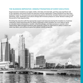 Expats and C-suite Career Transition Experience - Executives digital ...