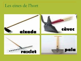 Hort | PPT