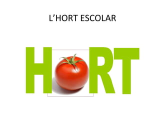 L’hort escolar | PPS