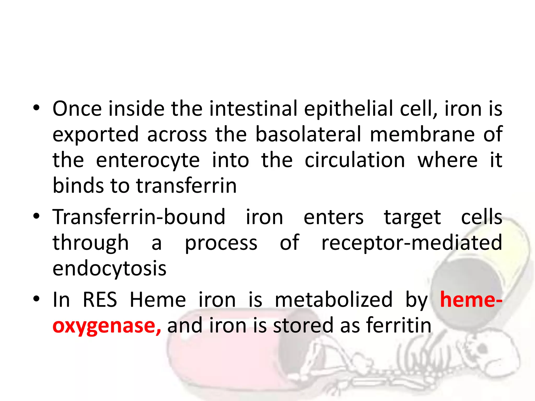 Iron toxicity | PPTX