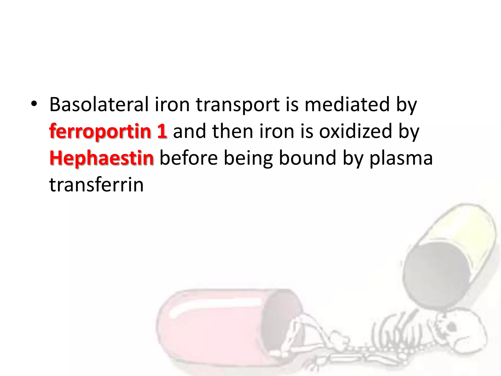 Iron toxicity | PPTX