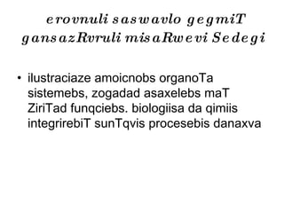 Lia Barbaqadze | PPT