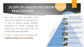 Liaison Psychiatry Nursing | PPT