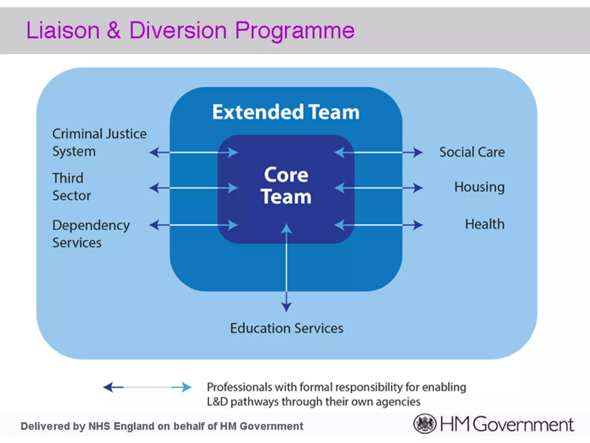Liaison & diversion service operations model | PDF