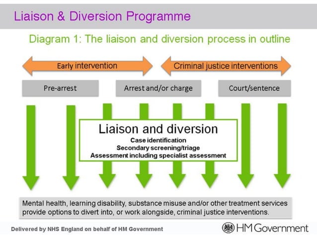 Liaison & diversion service operations model | PPT