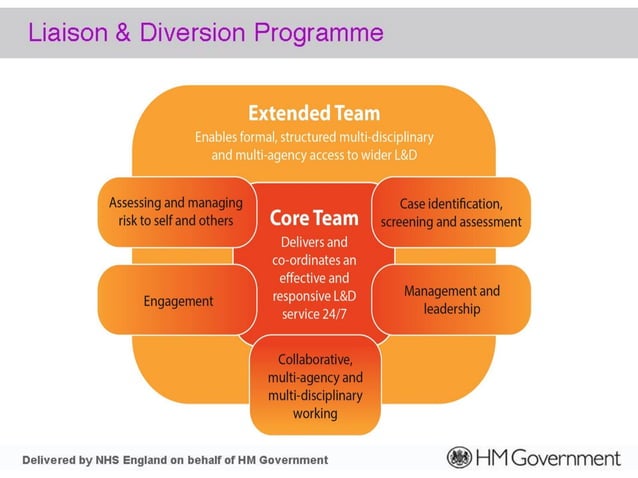 Liaison & diversion service operations model | PPT