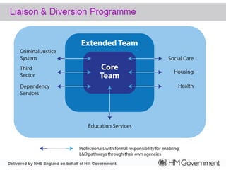 Liaison & diversion service operations model | PDF