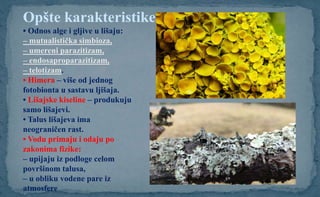 Lišajevi.pptx