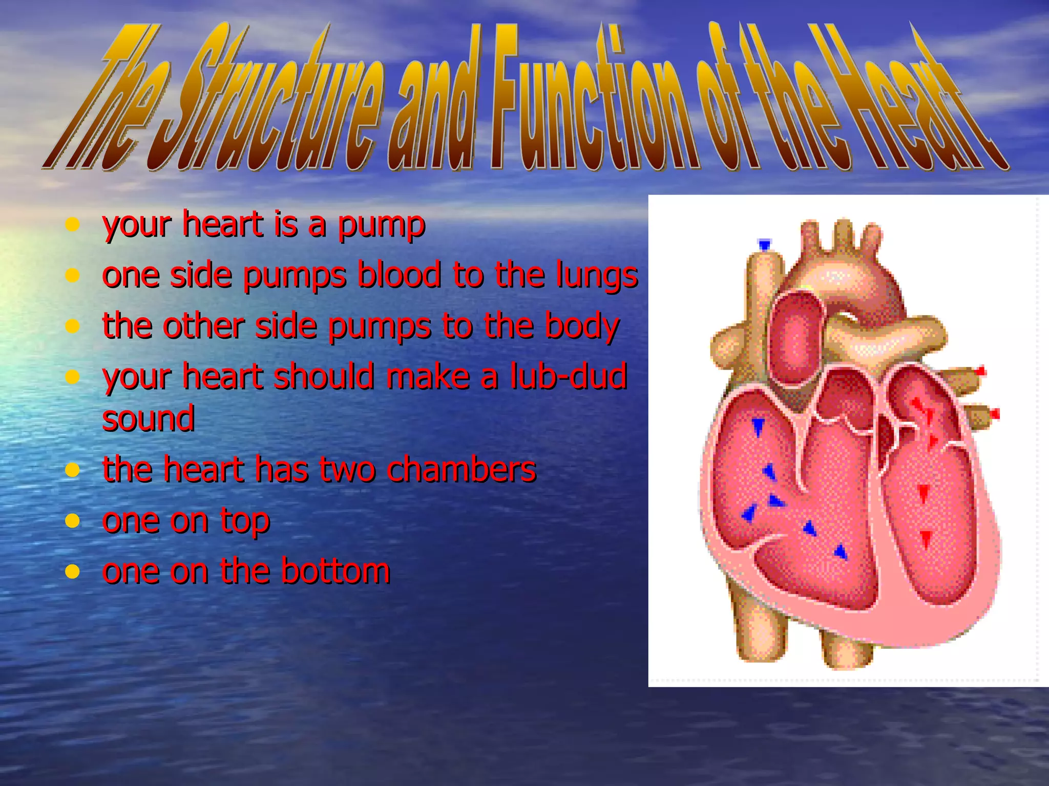 Liam howden the circulatory system | PPT