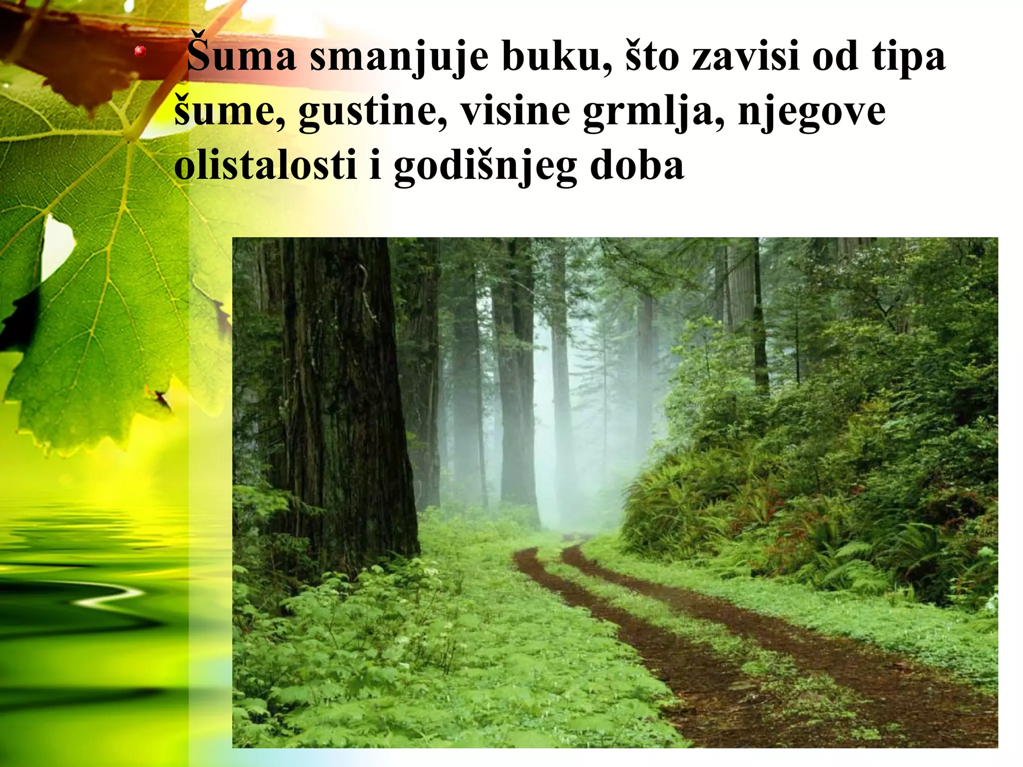 Lišćarske listopadne šume | PPT