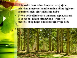 Lišćarske listopadne šume | PPT
