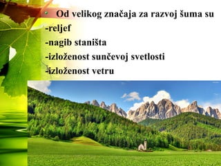 Lišćarske listopadne šume | PPT
