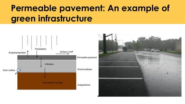 Managing Stormwater in the Hudson Valley: A Cost-Benefit Analysis of ...