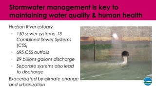 Managing stormwater in the Hudson Valley: a cost benefit analysis of ...