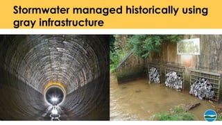 Managing stormwater in the Hudson Valley: a cost benefit analysis of ...