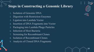 Genomic library construction using lambda. phagepptx | PPT